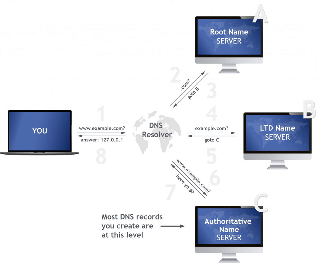 Using DNS records | Web data investigation 101 | DomainCrawler