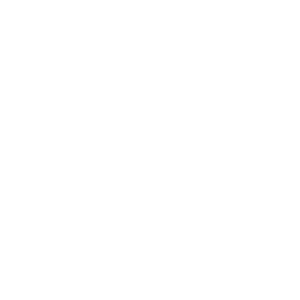 Domain name database for digital investigations | DomainCrawler